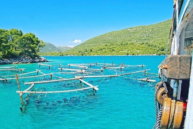 Oyster farm experience / Private day trip from Dubrovnik - Key Points