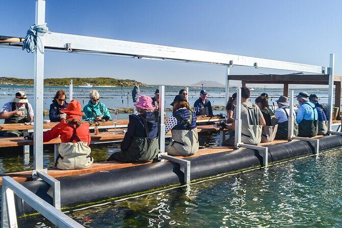 Oyster Farm Tour with Hotel Pick-up and return from Port Lincoln - The Tour Experience: What to Expect