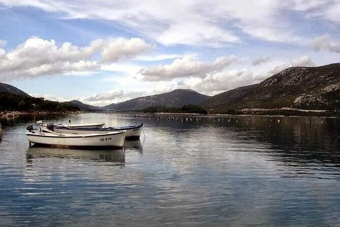 Oysters and mussels tasting with wine in Ston and Peljeac - Introduction