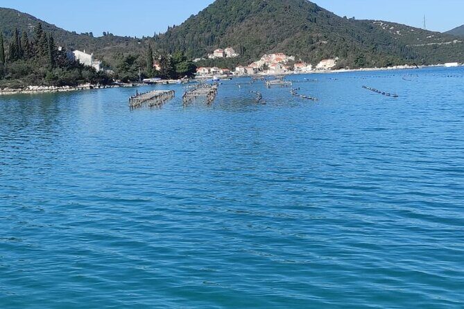 Oysters and mussels tasting with wine in Ston and Peljeac - Key Points