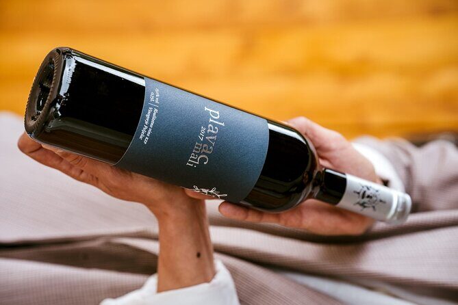 Oysters and mussels tasting with wine in Ston and Peljeac - Exploring Hodilje and the Seashell Farm