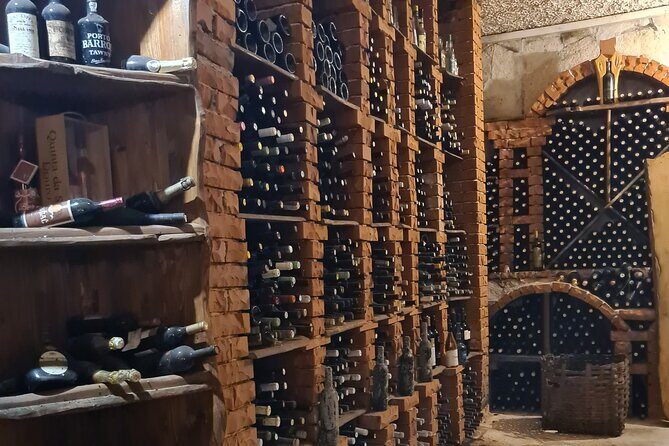 Oysters & Wine Tour From Dubrovnik (Small Group) - FAQ