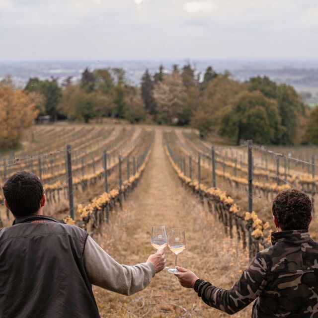 Ozzano Emilia: Guided Cellar Walking Tour with Wine Tasting - Key Points