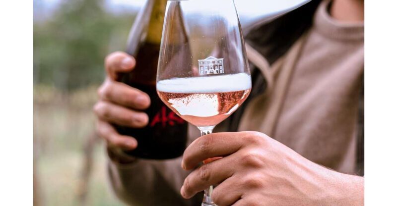 Ozzano Emilia: Guided Cellar Walking Tour with Wine Tasting - A Closer Look at the Experience