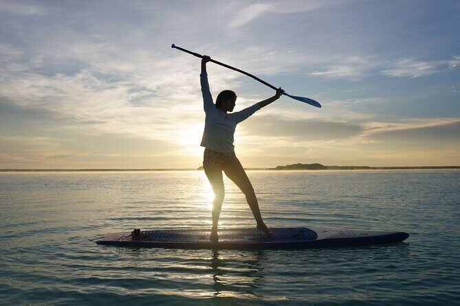 Paddle at Dawn with visit to Cenotes and Islands - An In-Depth Look at the Experience