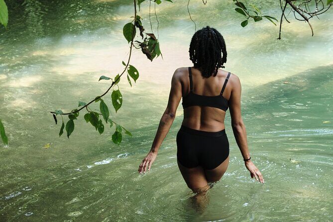 Paddle Board Adventure in a Tropical Paradise - Key Points