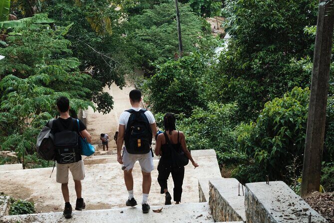 Paddle Board Adventure in a Tropical Paradise - Introduction: What to Expect from This Paddle Board Adventure