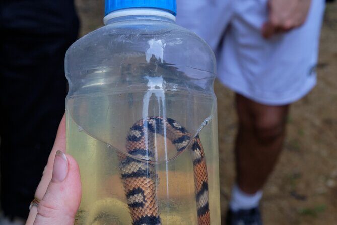 Paddle Board Adventure in a Tropical Paradise - Why This Tour Offers Great Value