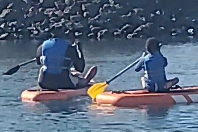 Paddle Board Picnics Lessons Rentals and Outdoor Adventures - An In-Depth Look at the Experience