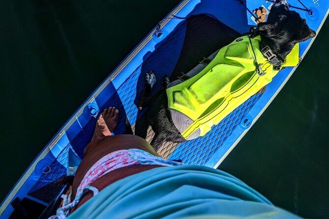 Paddle Board Picnics Lessons Rentals and Outdoor Adventures - FAQs