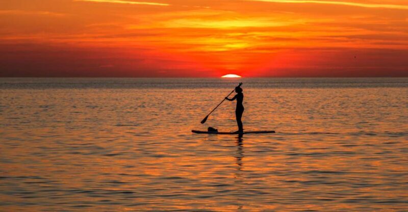 Paddle Board Rental: Glide on the Water with Ease - Insights From Reviewers
