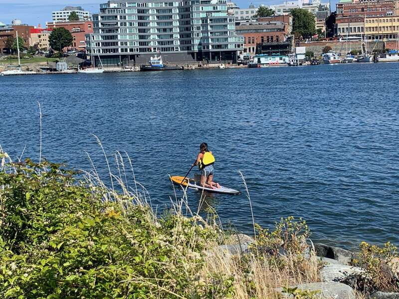Paddle the heart of downtown Victoria - Why You’ll Love This Tour