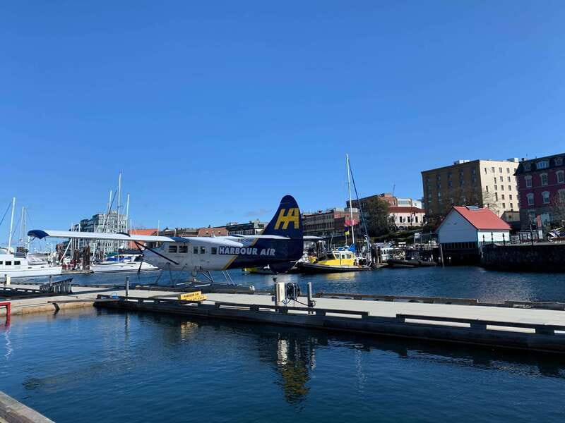 Paddle the heart of downtown Victoria - The Sum Up: Why It’s a Great Choice