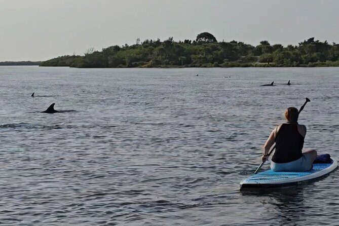Paddle With Native Wildlife - What to Expect from the Paddle With Native Wildlife Tour