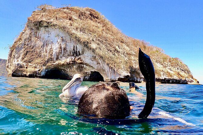 Paddleboard and Snorkeling Experience in Los Arcos - Final Thoughts