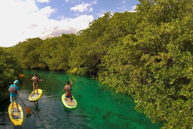 Paddleboard Cenote Tour - What to Expect from the Paddleboard Cenote Tour