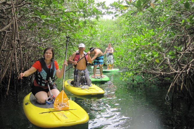 Paddleboard Cenote Tour - Authentic Local Insights From Reviewers