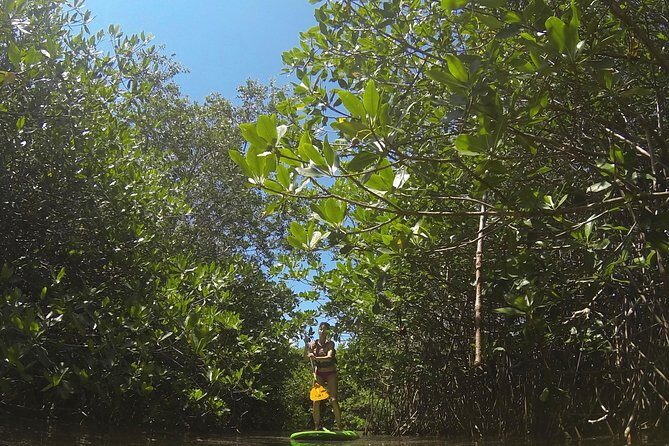 Paddleboard Cenote Tour - Final Thoughts