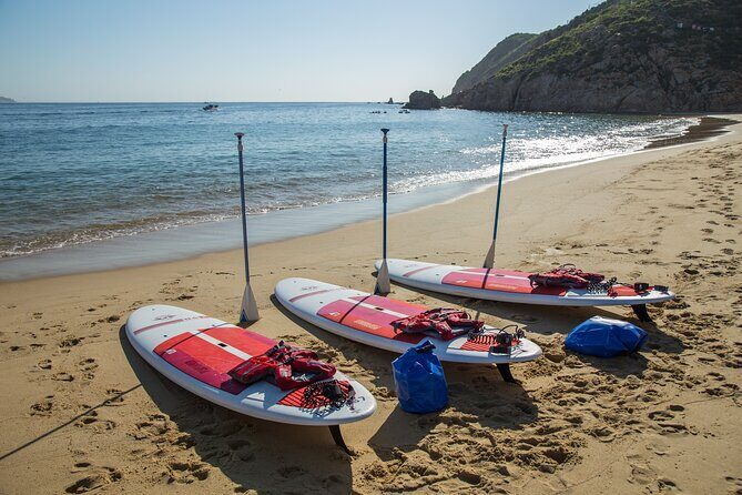Paddleboard Expedition to the Arch of Cabo San Lucas, Lovers Beach & Snorkel - Transportation & Timing