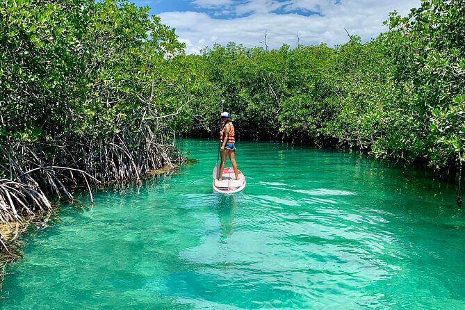 Paddleboard Kayak Tour in Cancun - Frequently Asked Questions