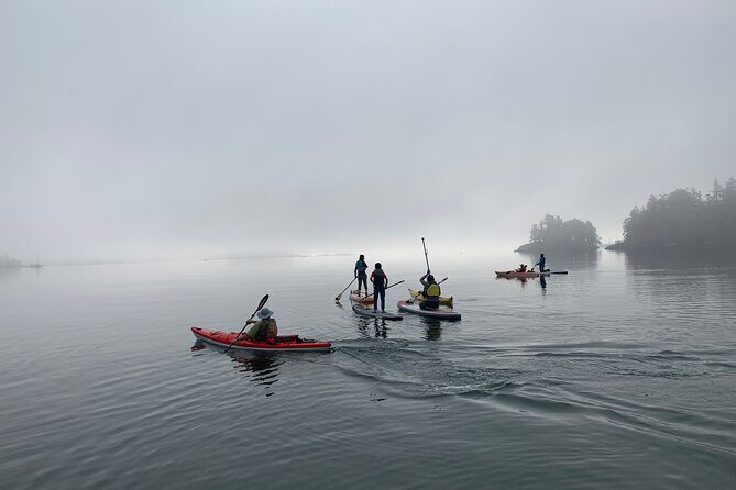Paddling Esquimalt Harbor to Cole Island - Practical Details and What to Expect