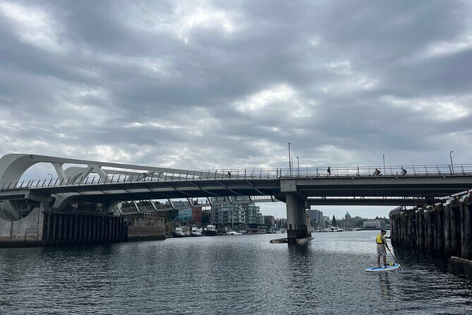 Paddling Inner Harbour - Downtown Victoria BC - Who Will Love This Tour?