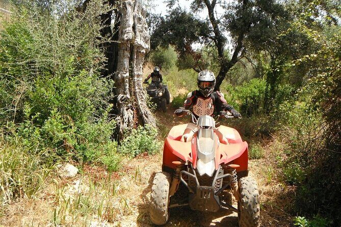 Paderne Adventure Quad Ride - What Reviews Reveal About the Experience