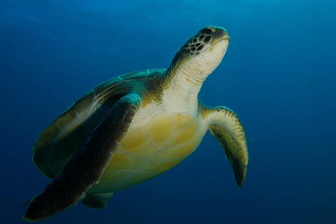 PADI Advanced Open Water Diver Course (AOWD) - 2 days - Key Points