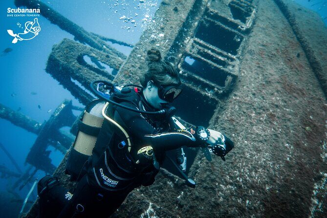 PADI Advanced Open Water Diver Course (AOWD) - 2 days - The Dive Experience: What You’re Really Getting