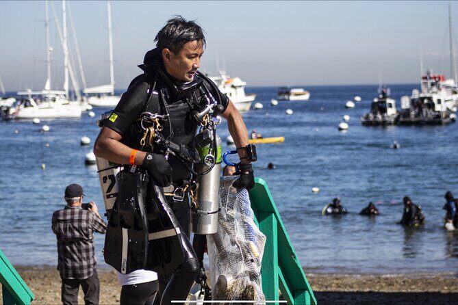 PADI Discover Scuba Diving - Summary