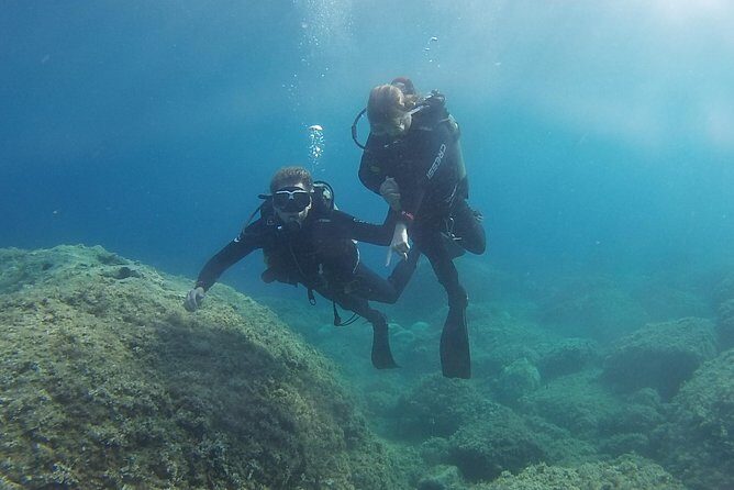 Padi Discover Scuba Diving - Introduction: What Makes This Tour Stand Out?