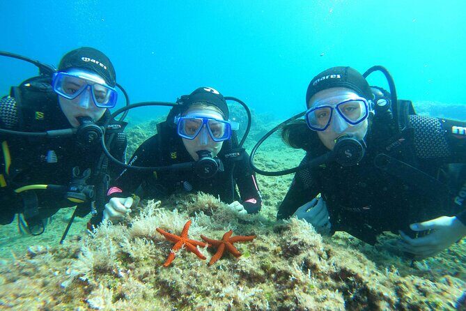 PADI Discover Scuba Diving in Dubrovnik - Why This Tour Offers Great Value