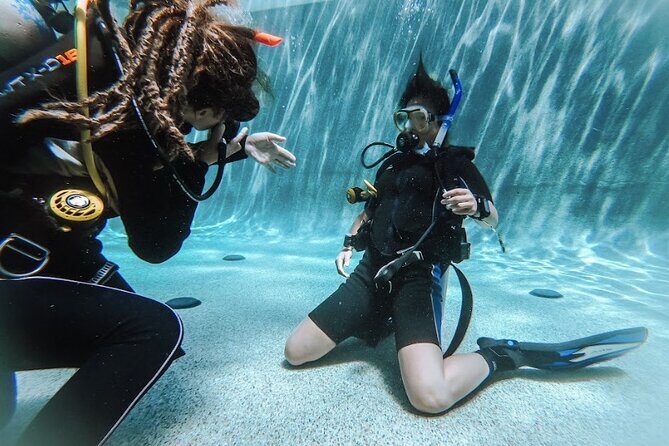 PADI Open Water Course in Cabo San Lucas - An In-Depth Look At The Experience