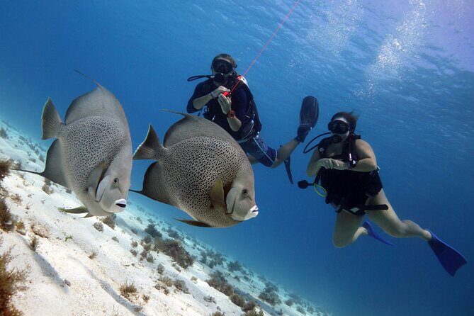 PADI Open Water Diver Course - Weather and Cancellation Policies