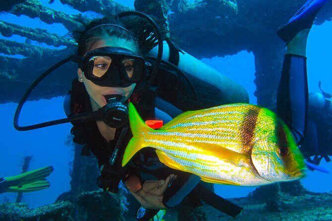 PADI Open Water Diving Certification Course Activity - Whats Included and Whats Not