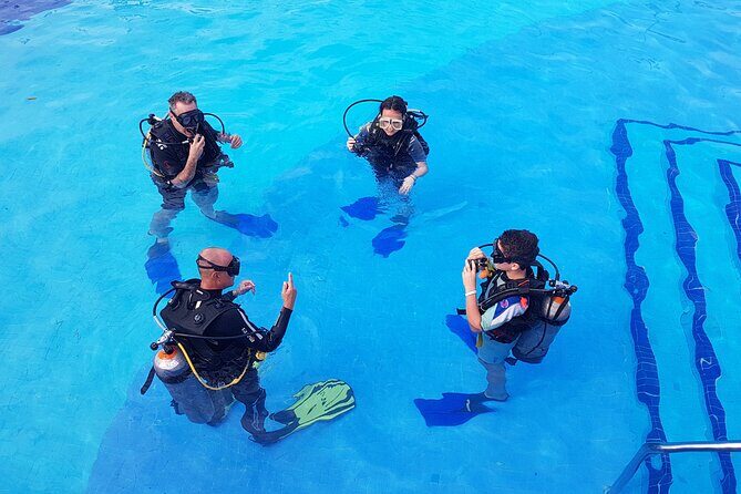 PADI Open Water Diving Certification Course Activity - What Travelers Say: Authentic Insights