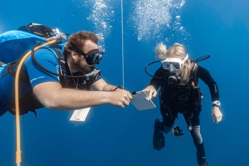 PADI Open Water Diving Course Tenerife - Exploring the Tenerife PADI Open Water Diving Course: An Honest Look