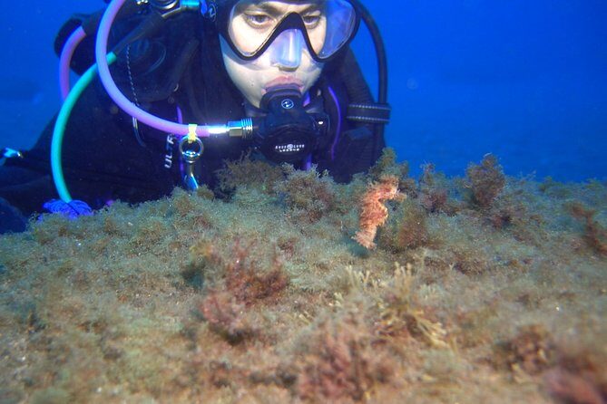 PADI ReActivate, Refresh your scuba skills! - Final Thoughts: Is It Worth It?