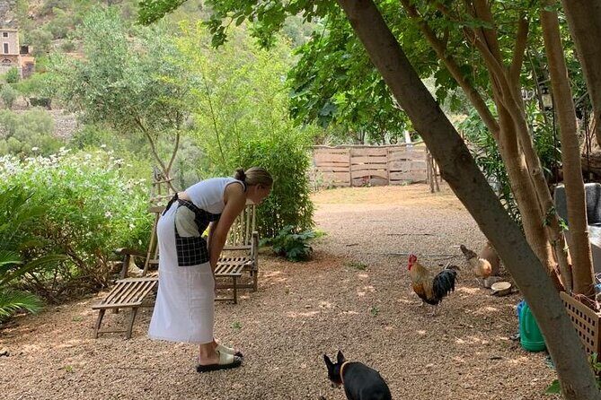 Paella Day Cooking Class Savor the Tradition - FAQ