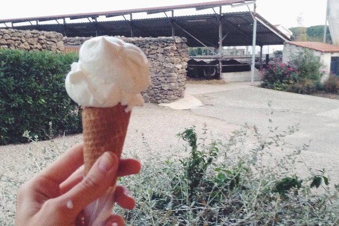 Paestum Traditions, Buffaloes, Ceramics, Temples - A Taste of Authentic Cilento: Buffaloes, Yoghurt, and Ice Cream
