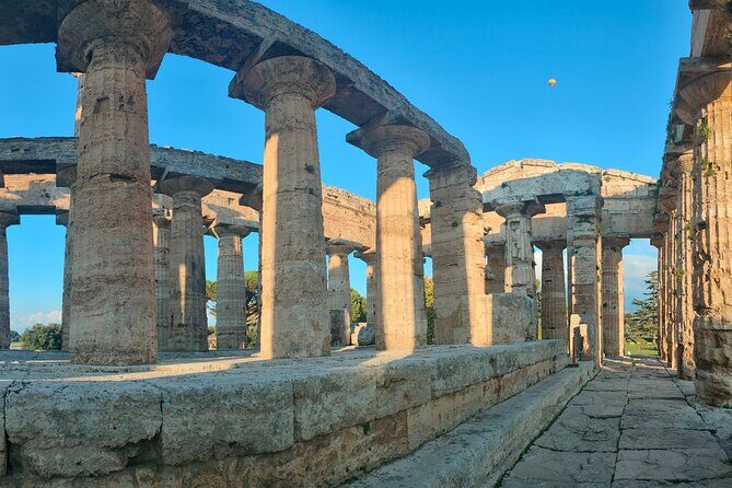 Paestum Traditions, Buffaloes, Ceramics, Temples - Practical Details and What to Expect