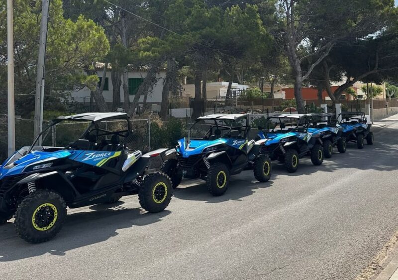 Paguera: 2 Hour Buggy Tour - What Makes This Tour Stand Out