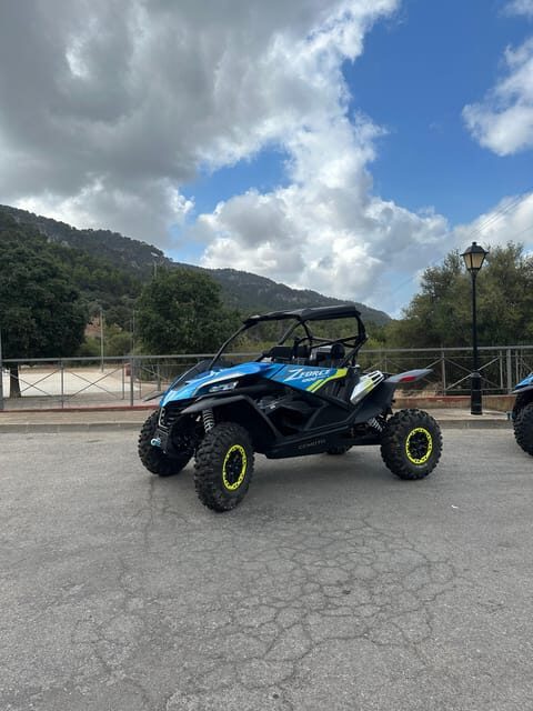 Paguera: 2 Hour Buggy Tour - Vehicle & Safety Considerations