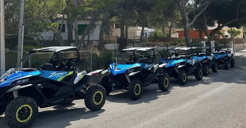 Paguera: 2 Hour Buggy Tour - Who Would Love This Tour?