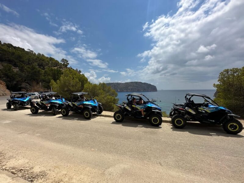 Paguera: 2 Hour Buggy Tour - FAQ