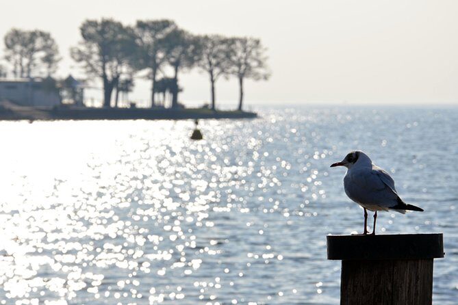 Pagus Wine Tours® - Sirmione by boat and Amarone - Full day tour - An Overview of the Experience
