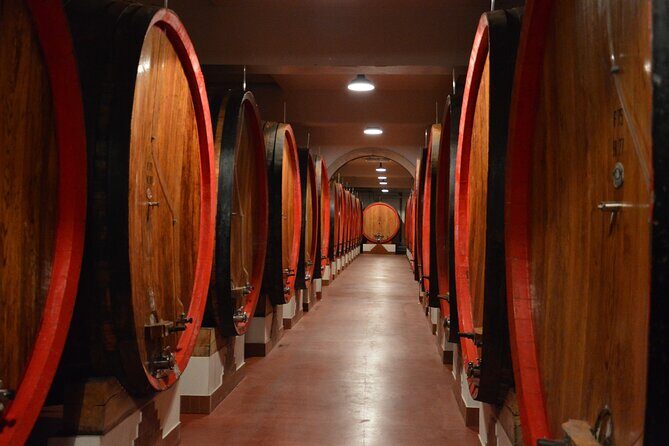 Pagus Wine Tours® - Soave and Amarone - Half day wine tour - Who Should Consider This Tour?