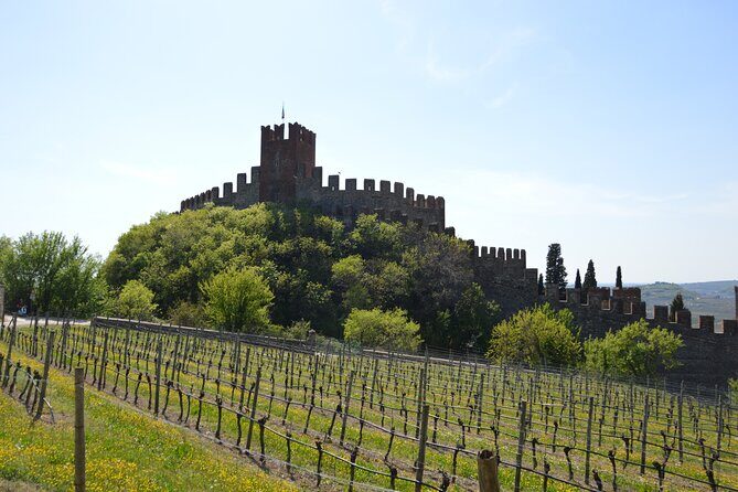 Pagus Wine Tours® - Soave and Amarone - Half day wine tour - Final Thoughts