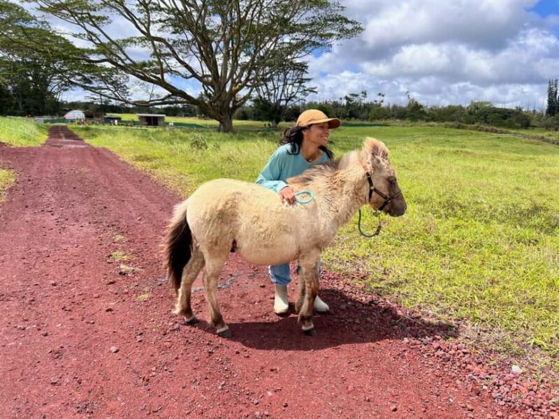 Pahoa: Ranch Tour with Animal Feedings and Interactions - Discovering Ola Nani Ranch