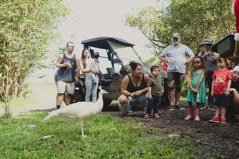 Pahoa: Ranch Tour with Animal Feedings and Interactions - The Guided Walk and Animal Feedings